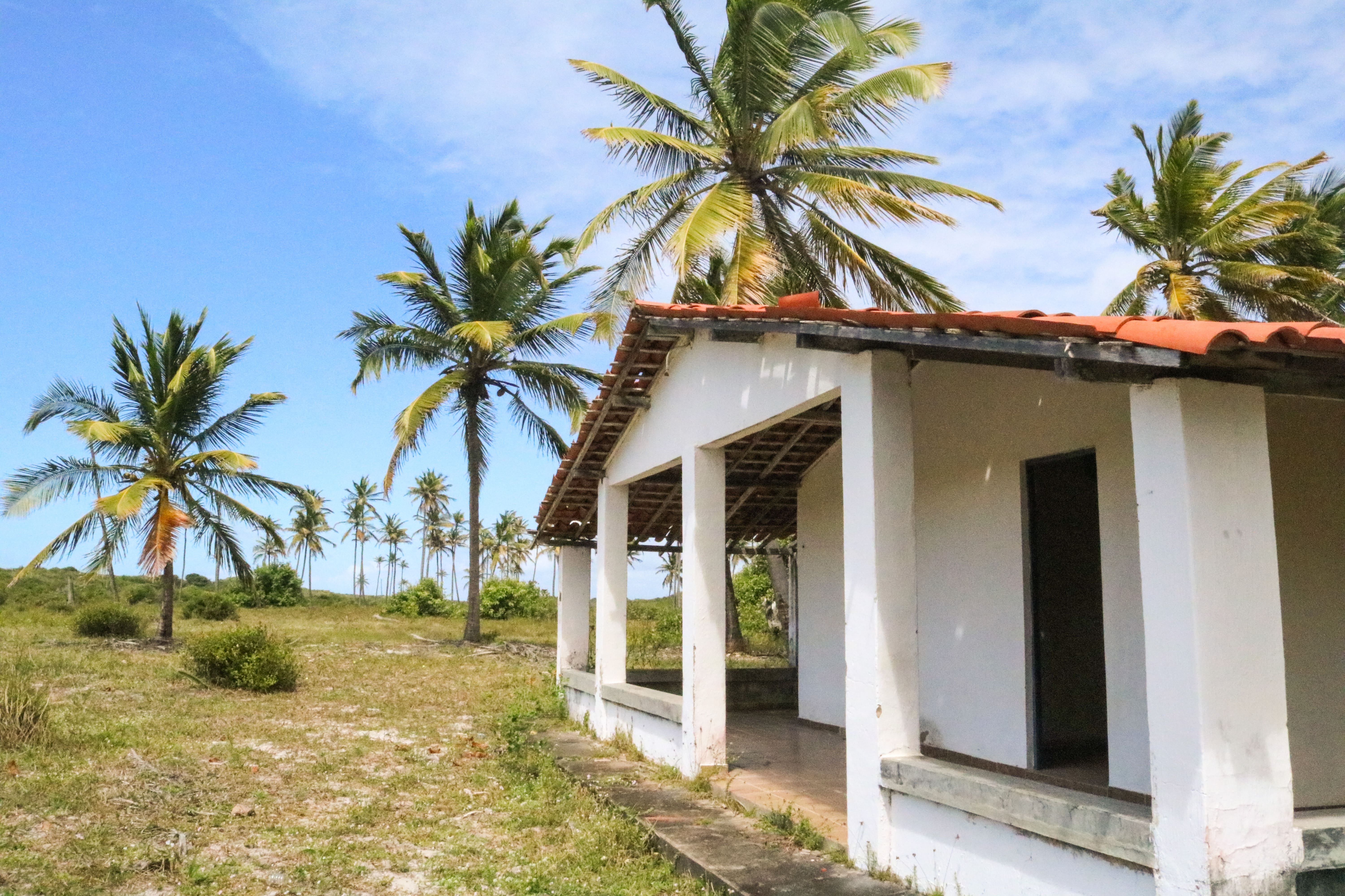 Barra de Mamanguape PB - O que fazer no litoral tranquilo da Paraíba