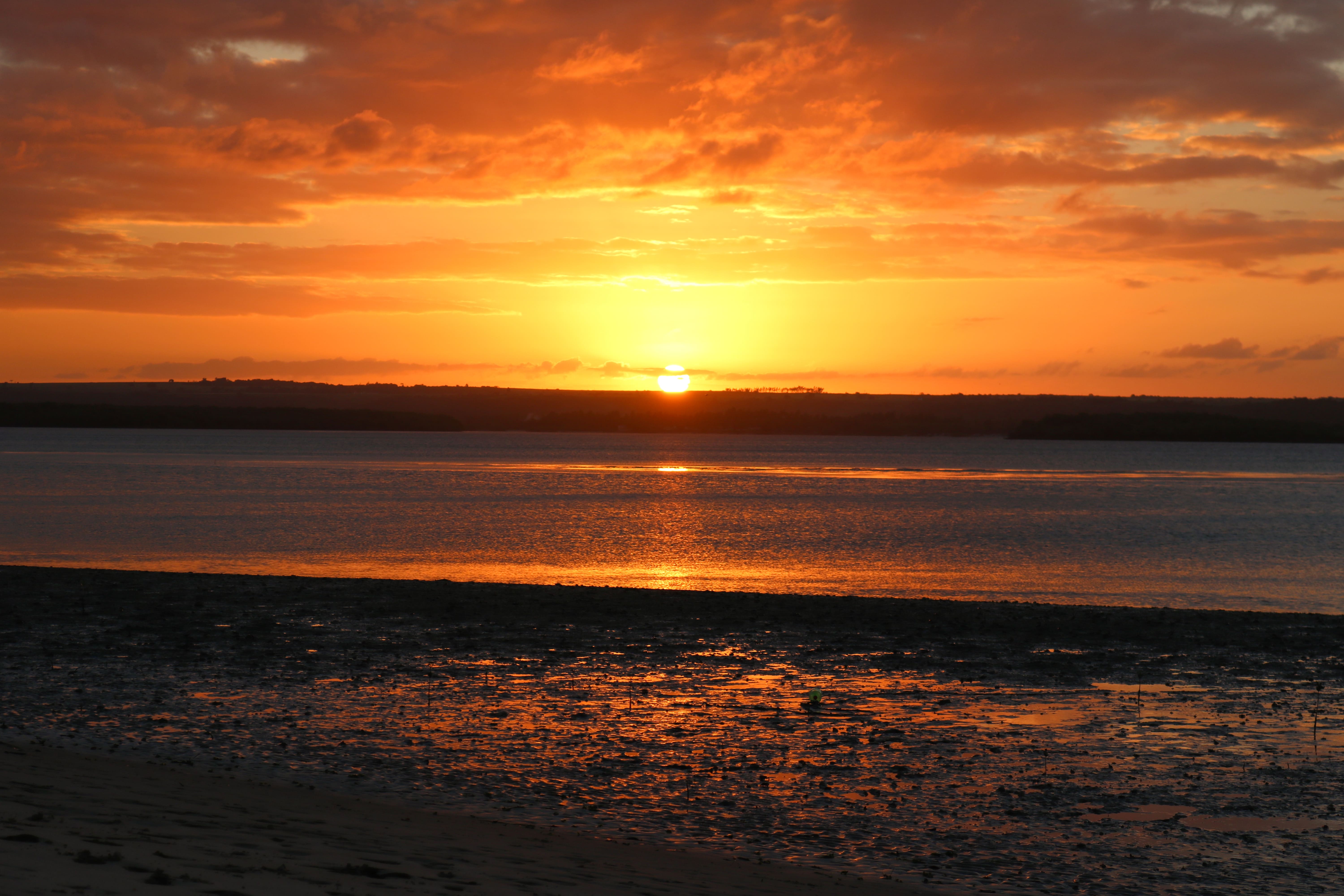 Barra de Mamanguape PB - O que fazer no litoral tranquilo da Paraíba