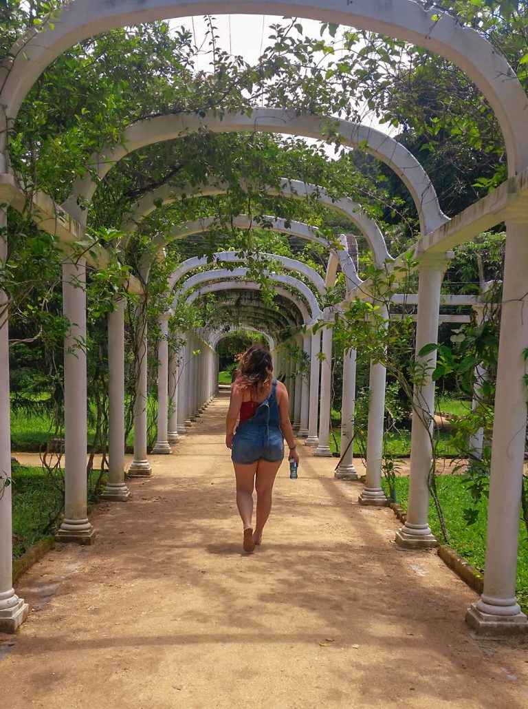 O que fazer no Jardim Botânico - Rio de Janeiro: 04 DICAS INCRÍVEIS